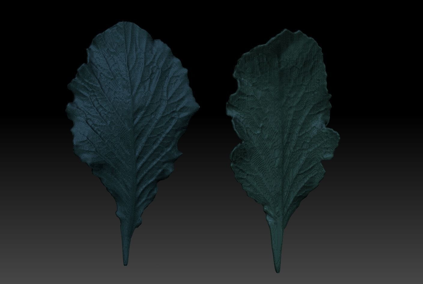 Leaf vegetable leaves leaf texture leaf sculpture 3D printing 3D model ...