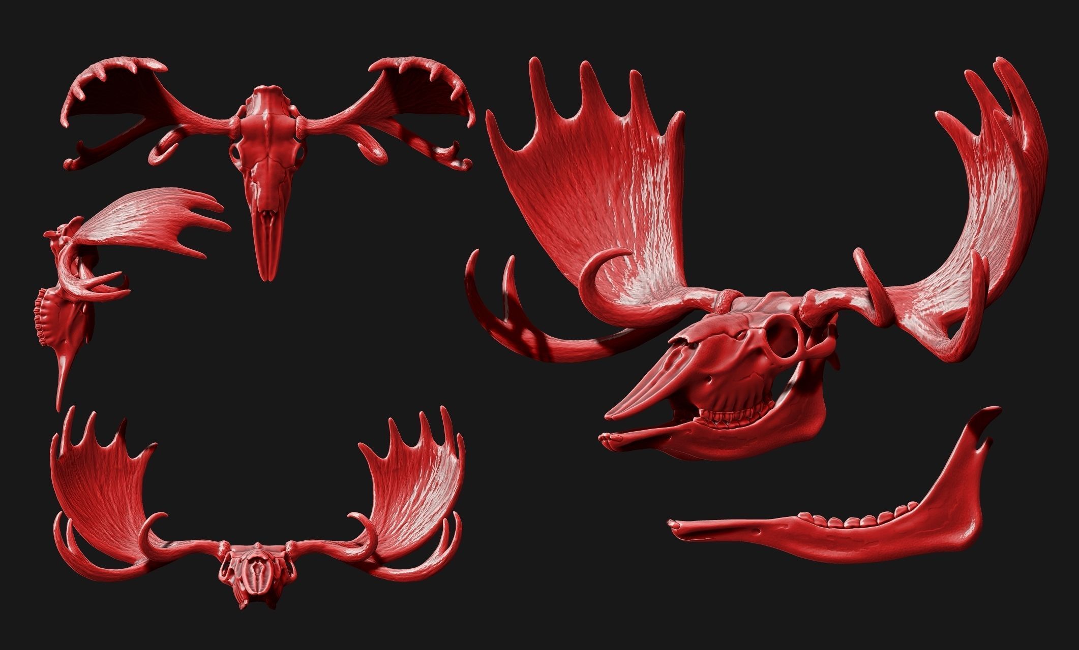 American Alce skull 3D model 3D printable | CGTrader