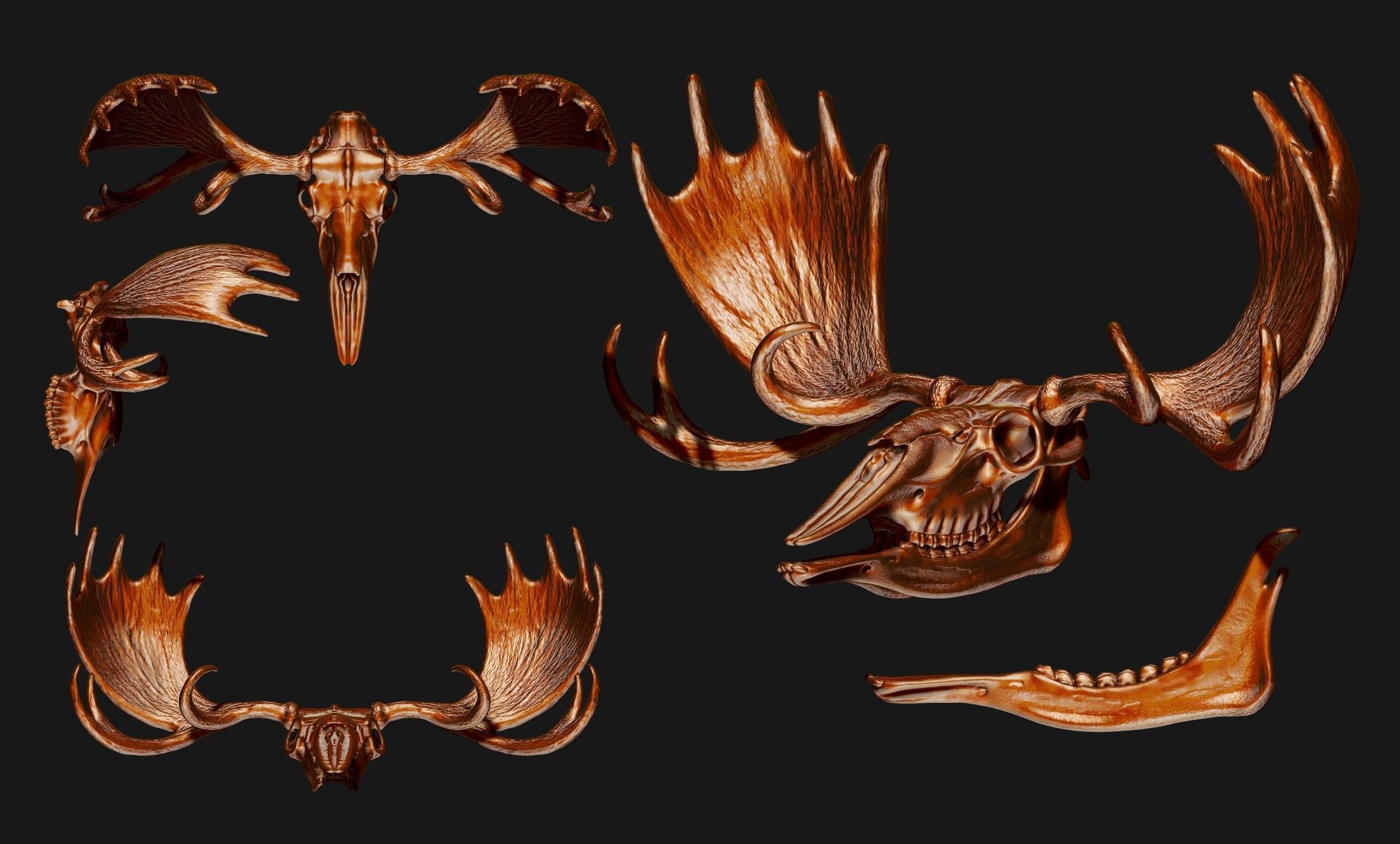 American Alce skull 3D model 3D printable | CGTrader