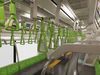 Japanese Train Head Interior Exterior Yamanote Line E235 Rigged 3D ...