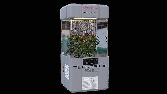 Terrarium 3D model | CGTrader