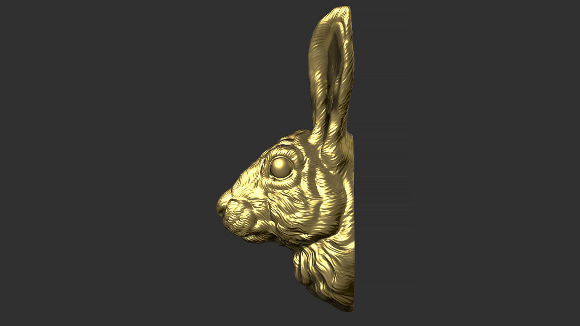 Hare head 3D model 3D printable | CGTrader