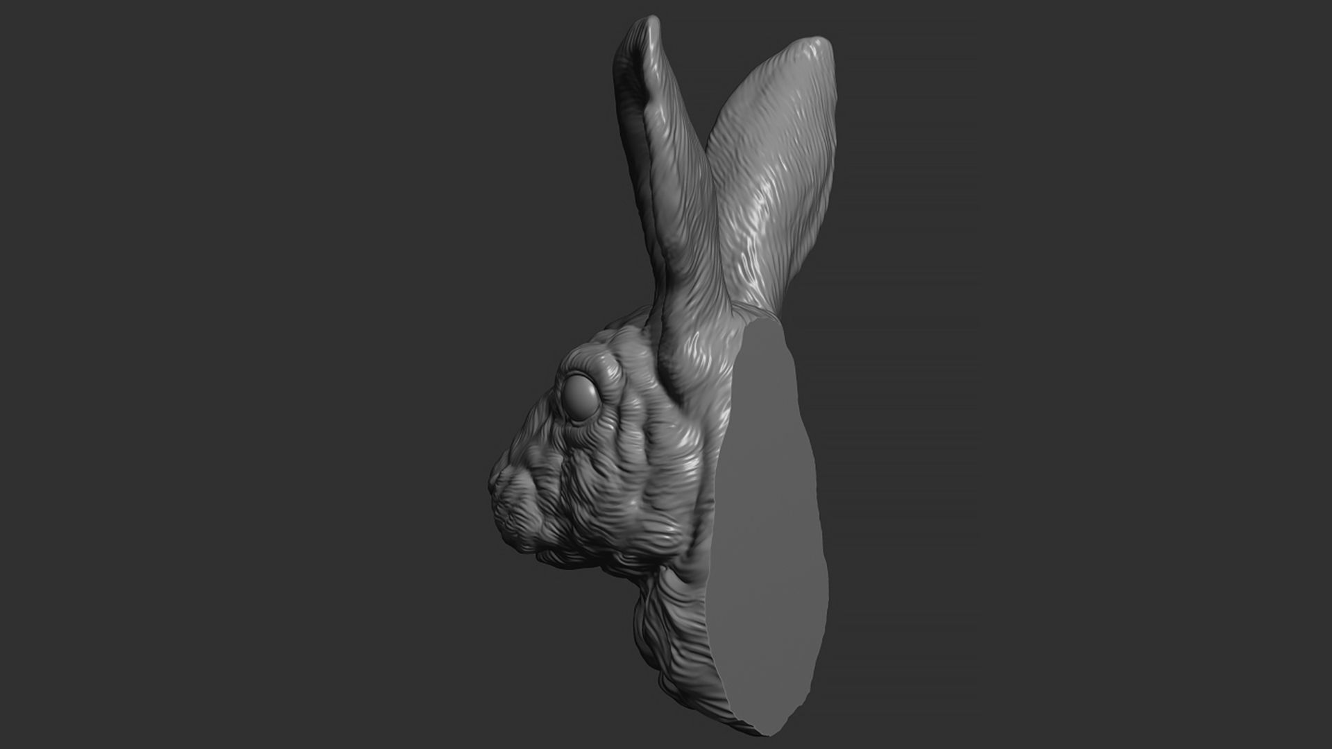 Hare head 3D model 3D printable | CGTrader