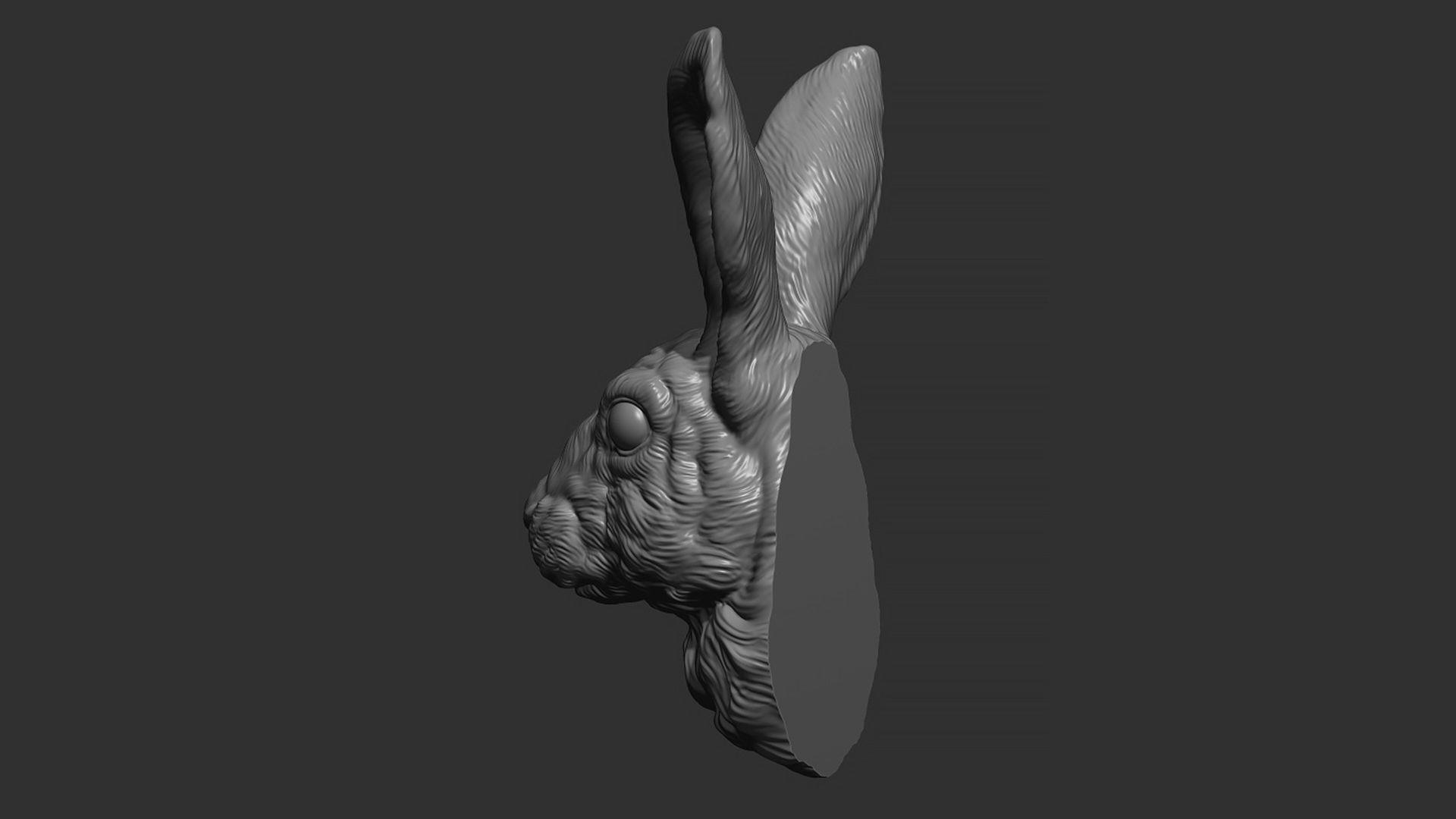 Hare head 3D model 3D printable | CGTrader