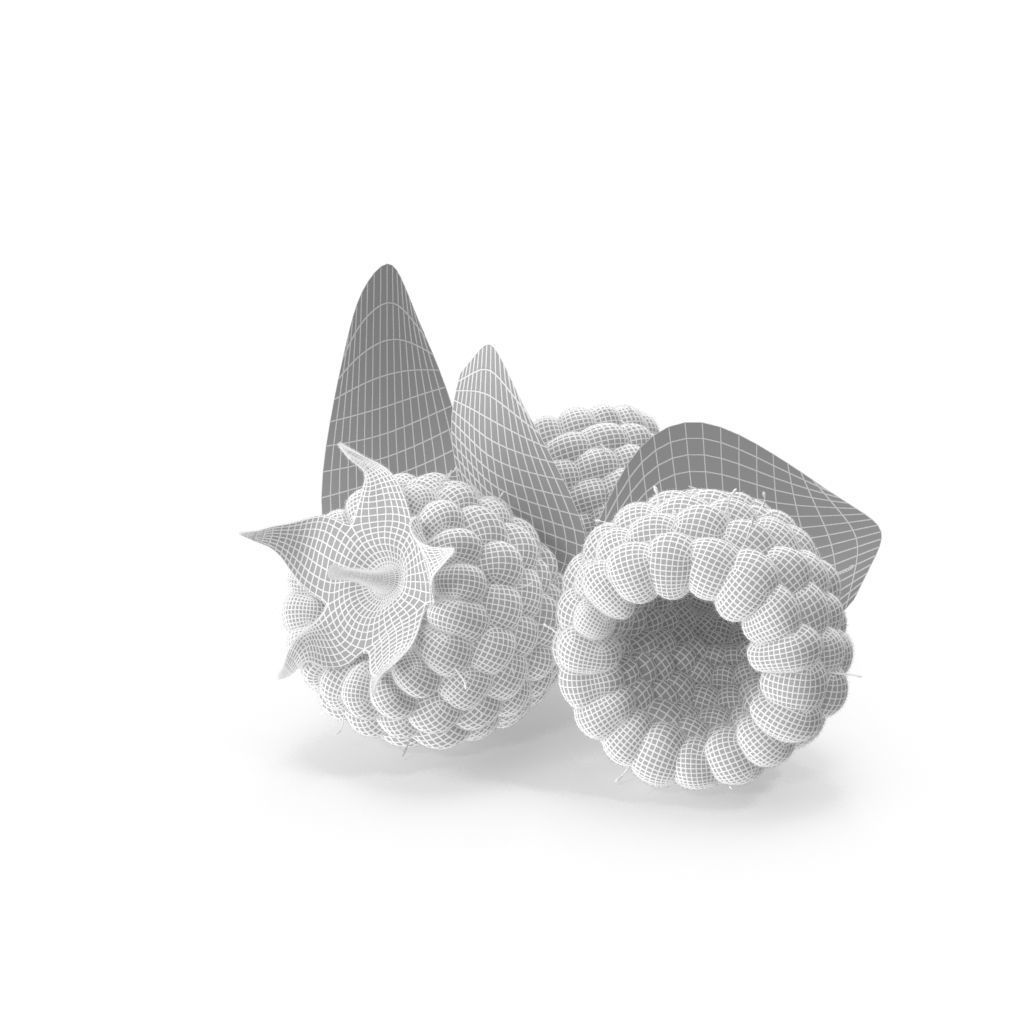 Raspberry three raspberries 3D model | CGTrader