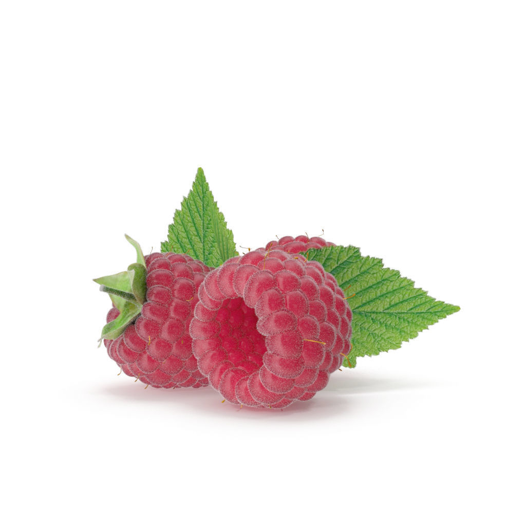 Raspberry three raspberries 3D model | CGTrader