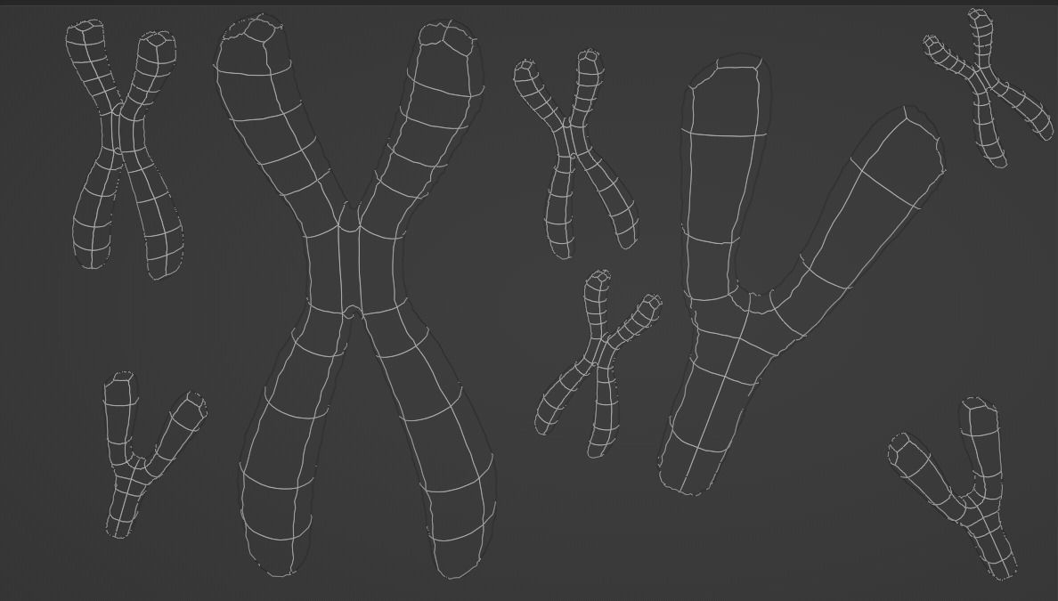Detailed Chromosome 3D model and scene 3D model | CGTrader