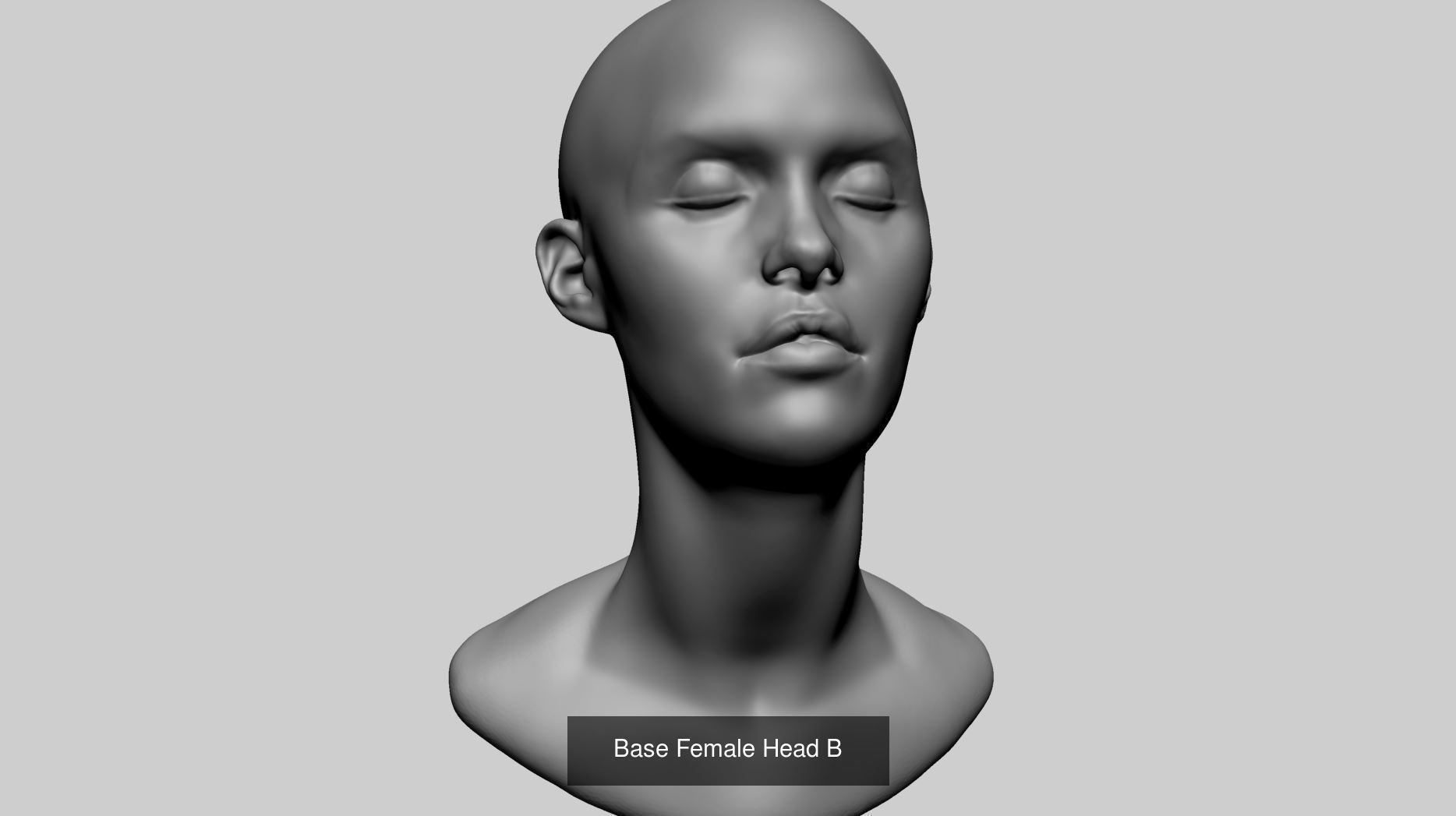 20 Head Models 3D Model Collection | CGTrader