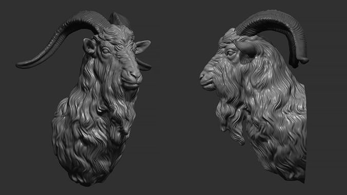 Goat head 3D model 3D printable | CGTrader