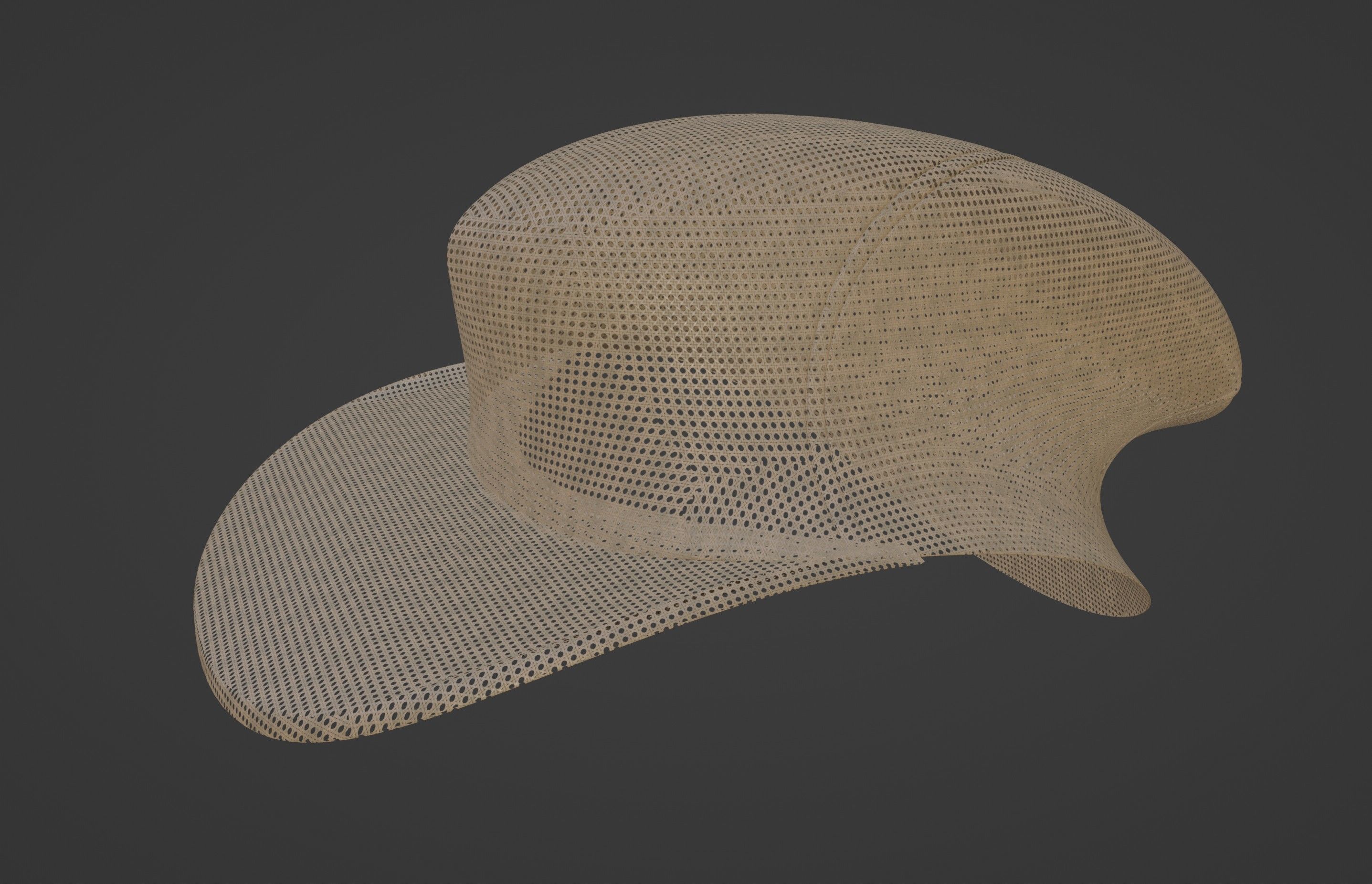 Mesh cap concept 3D model | CGTrader