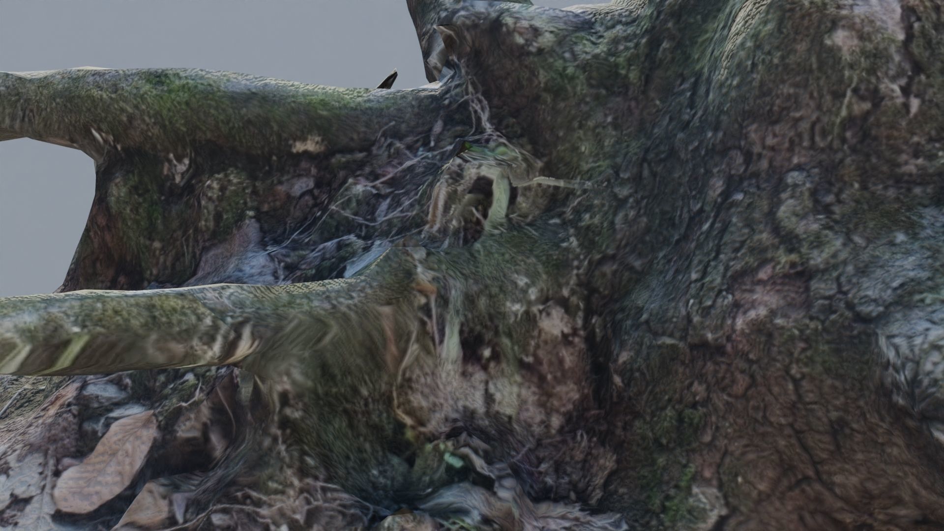 3D model Tree Photoscan Retopologies Low poly Mid poly and Raw ...