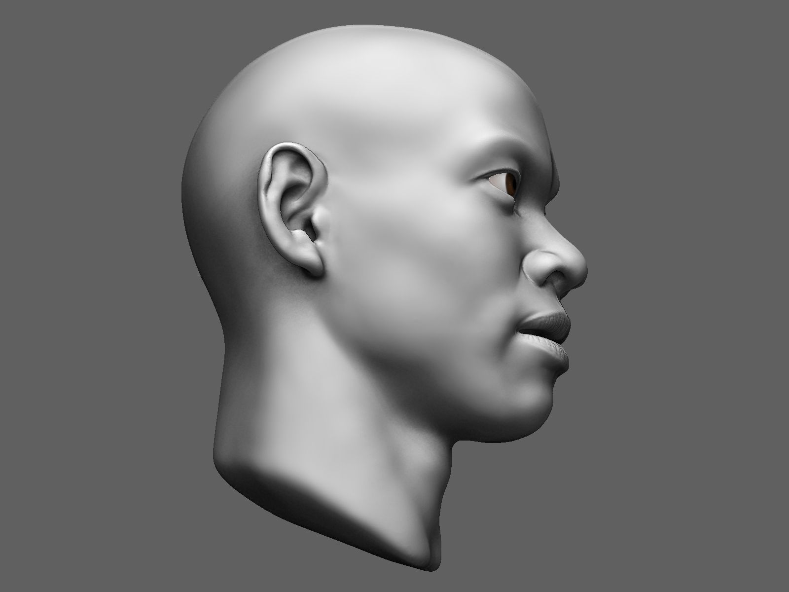 African male head sculpt 3D model | CGTrader