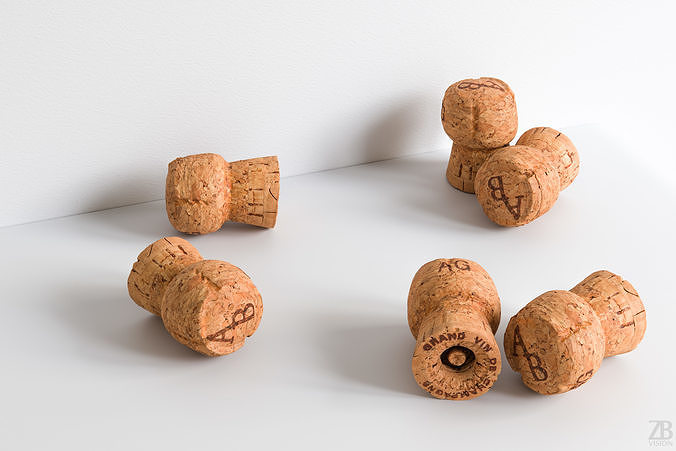 Cork 003 3D model | CGTrader