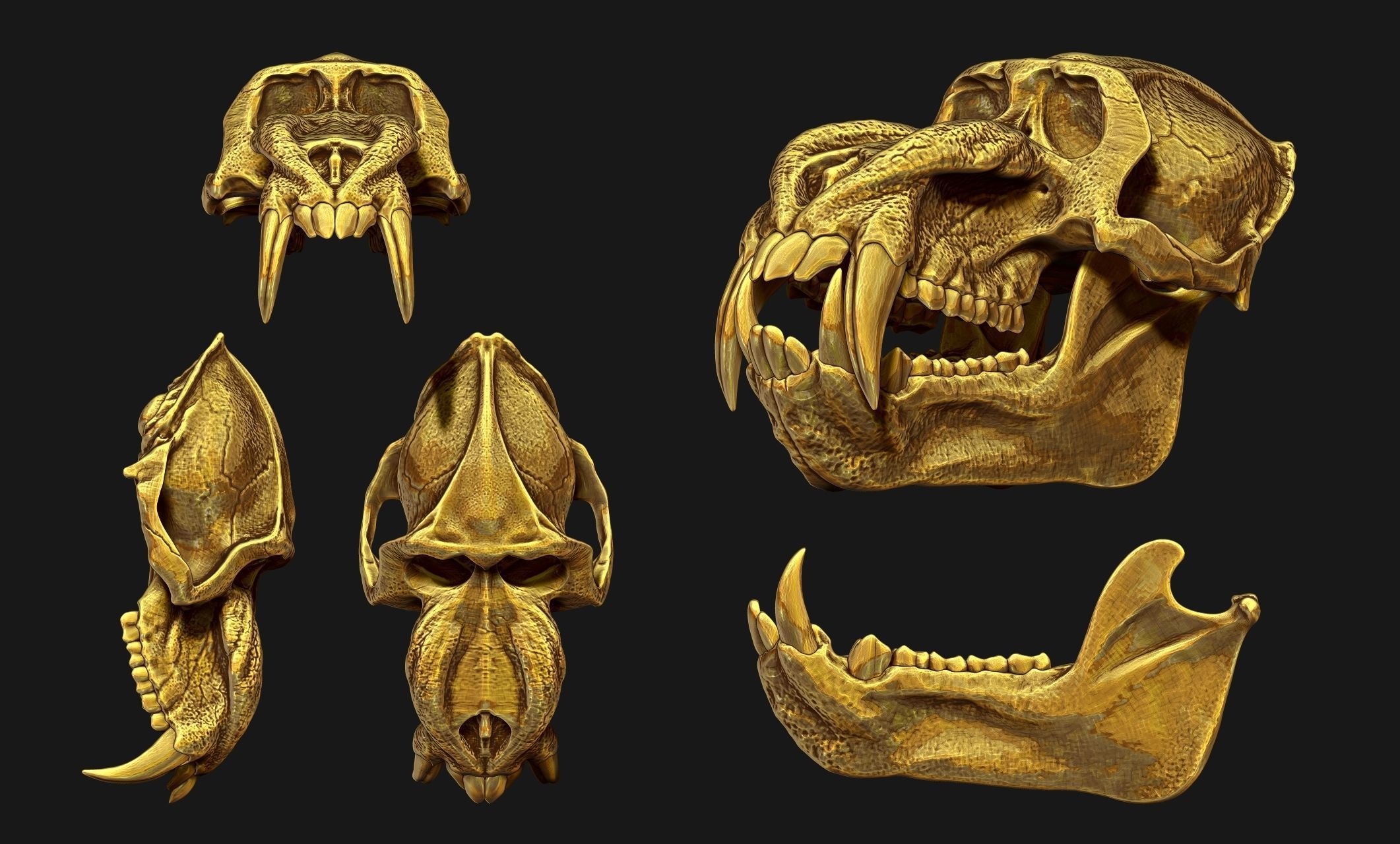 Mandrillus sphinx Skull - CNC and 3D model 3D printable | CGTrader
