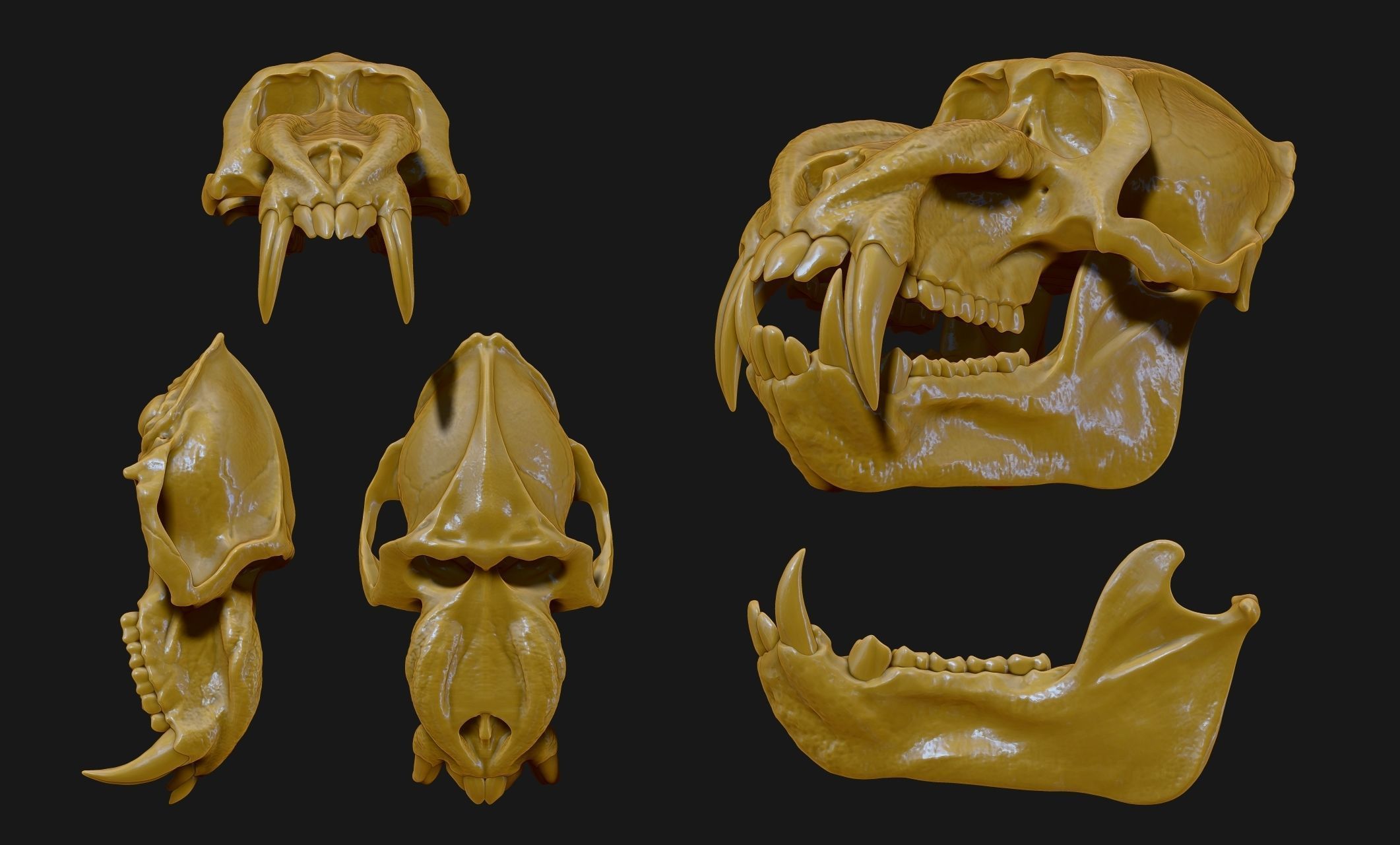 Mandrillus sphinx Skull - CNC and 3D model 3D printable | CGTrader