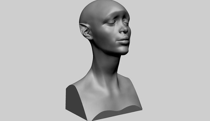 Female Head Form B 3D model | CGTrader