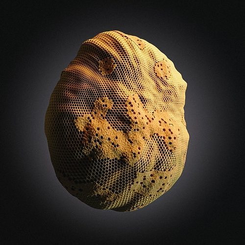 Procedural Beehive 3D model | CGTrader