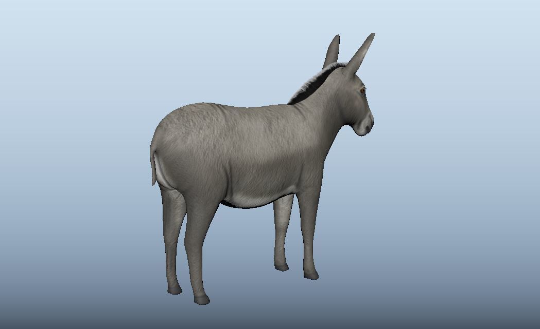 3D model Donkey Animated VR / AR / low-poly | CGTrader