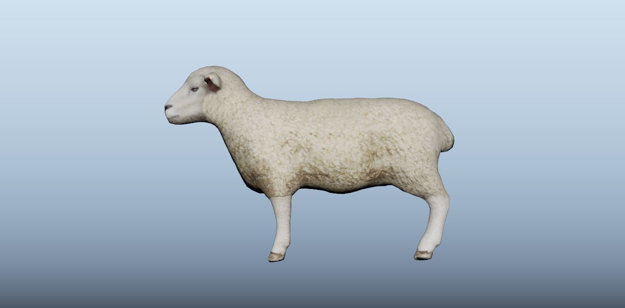 3D model Sheep Animated VFX Grace VR / AR / low-poly | CGTrader