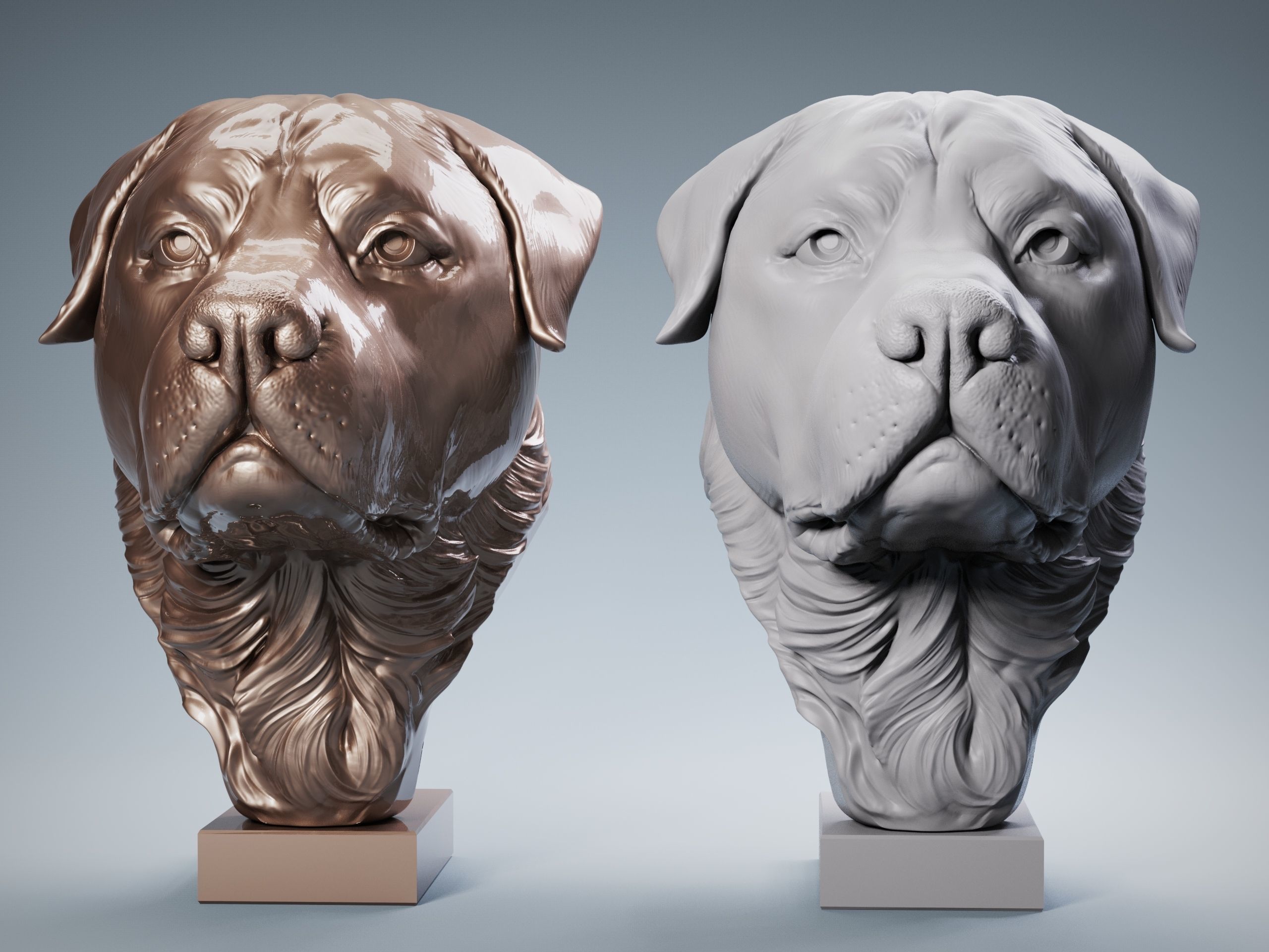 Rottweiler Head Sculpture 3D model 3D printable | CGTrader