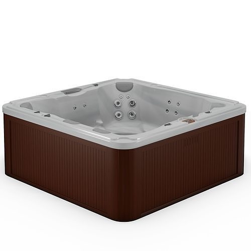 3D model 3D model of Hot Tub Jacuzzi Sundance Spas Ramona VR / AR / low ...