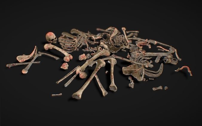 3D model Skull Bones Remains Skeletons skulls VR / AR / low-poly | CGTrader