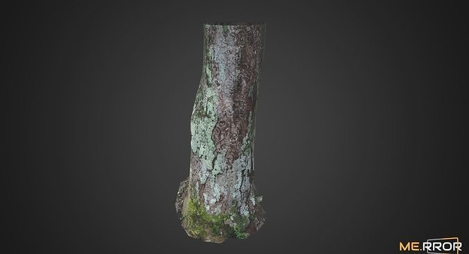 3D model Game Ready Moss Tree Trunk VR / AR / low-poly | CGTrader