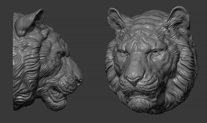 Tiger toothy 3D model 3D printable | CGTrader