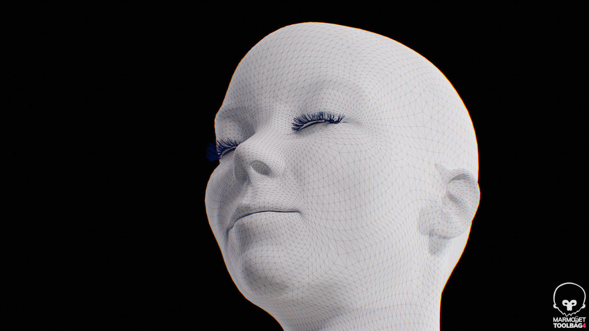 3D model Bjork 1995 renderable Blend Shapes VR / AR / low-poly | CGTrader