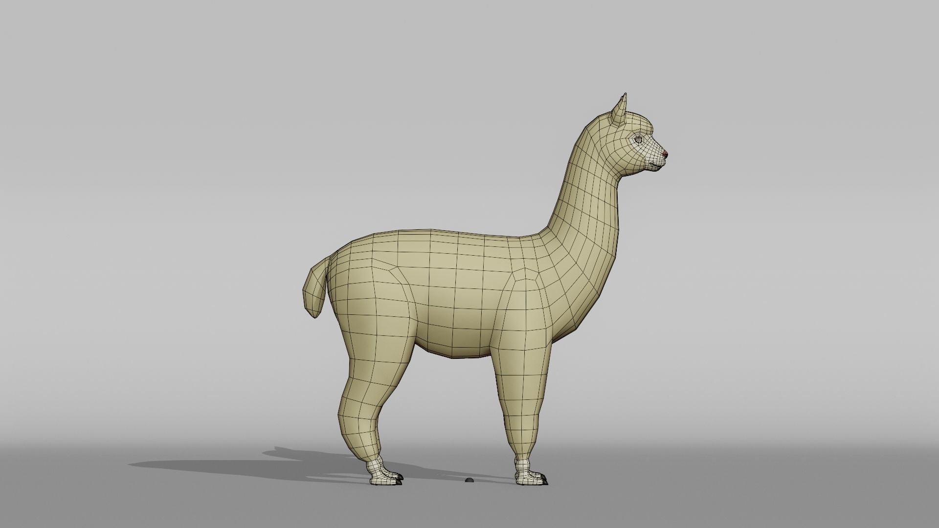 3D model Alpaca Base Mesh Low-poly VR / AR / low-poly | CGTrader