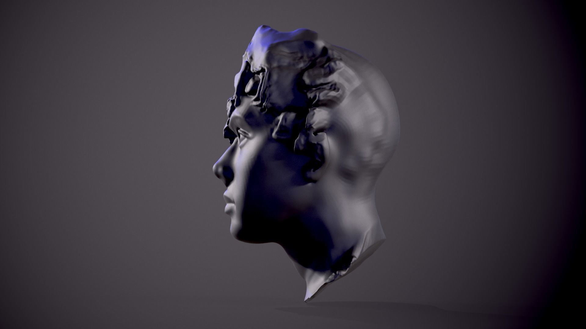 Half Face and Half Skull 3D model 3D printable | CGTrader