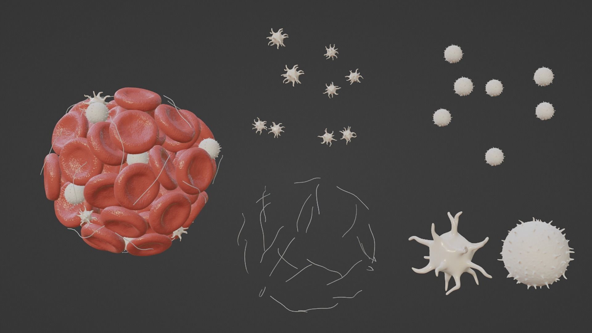 Blood Clot Thrombus 3D model | CGTrader