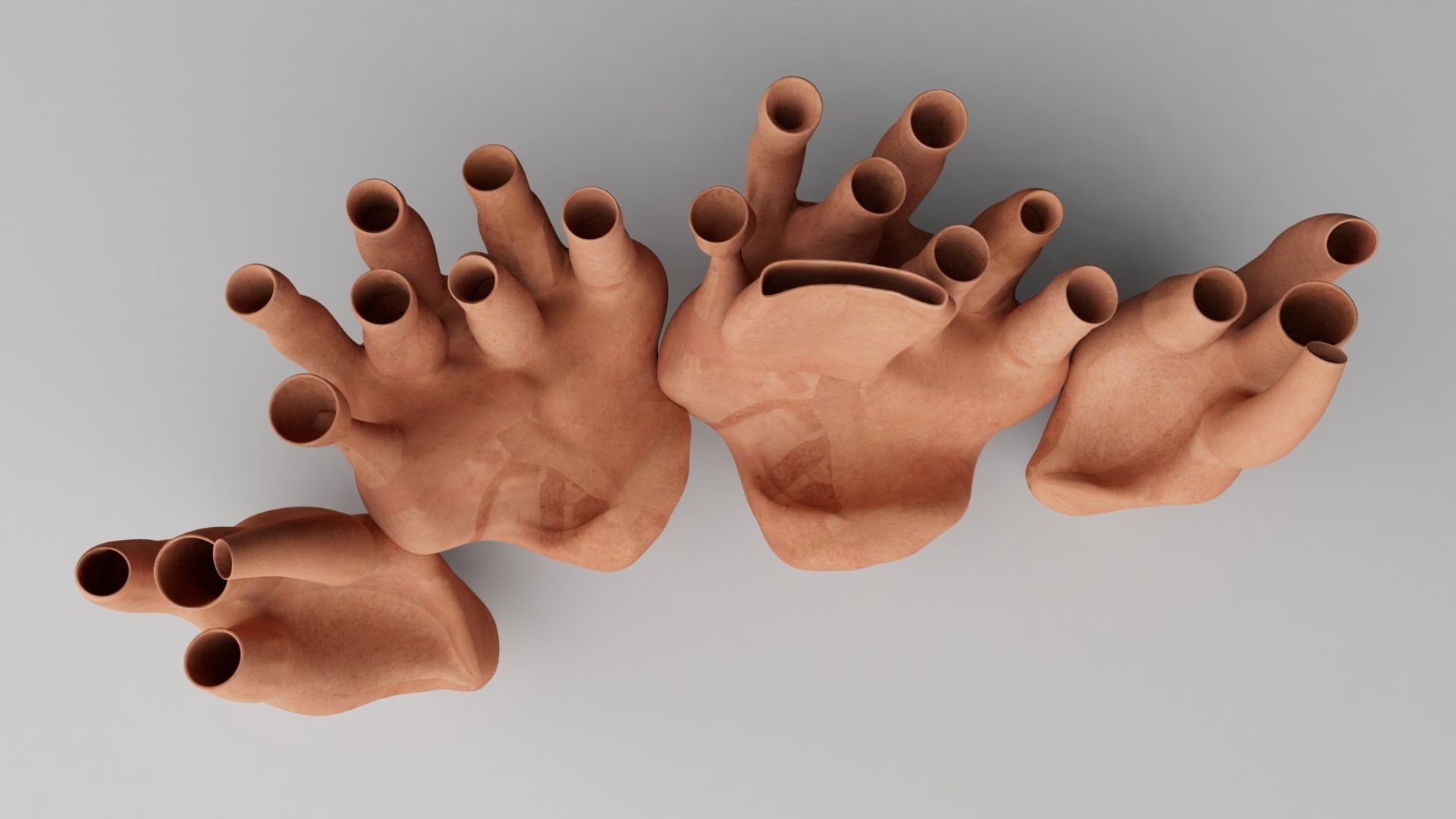 Endoplasmic Reticulum 3D model animated | CGTrader