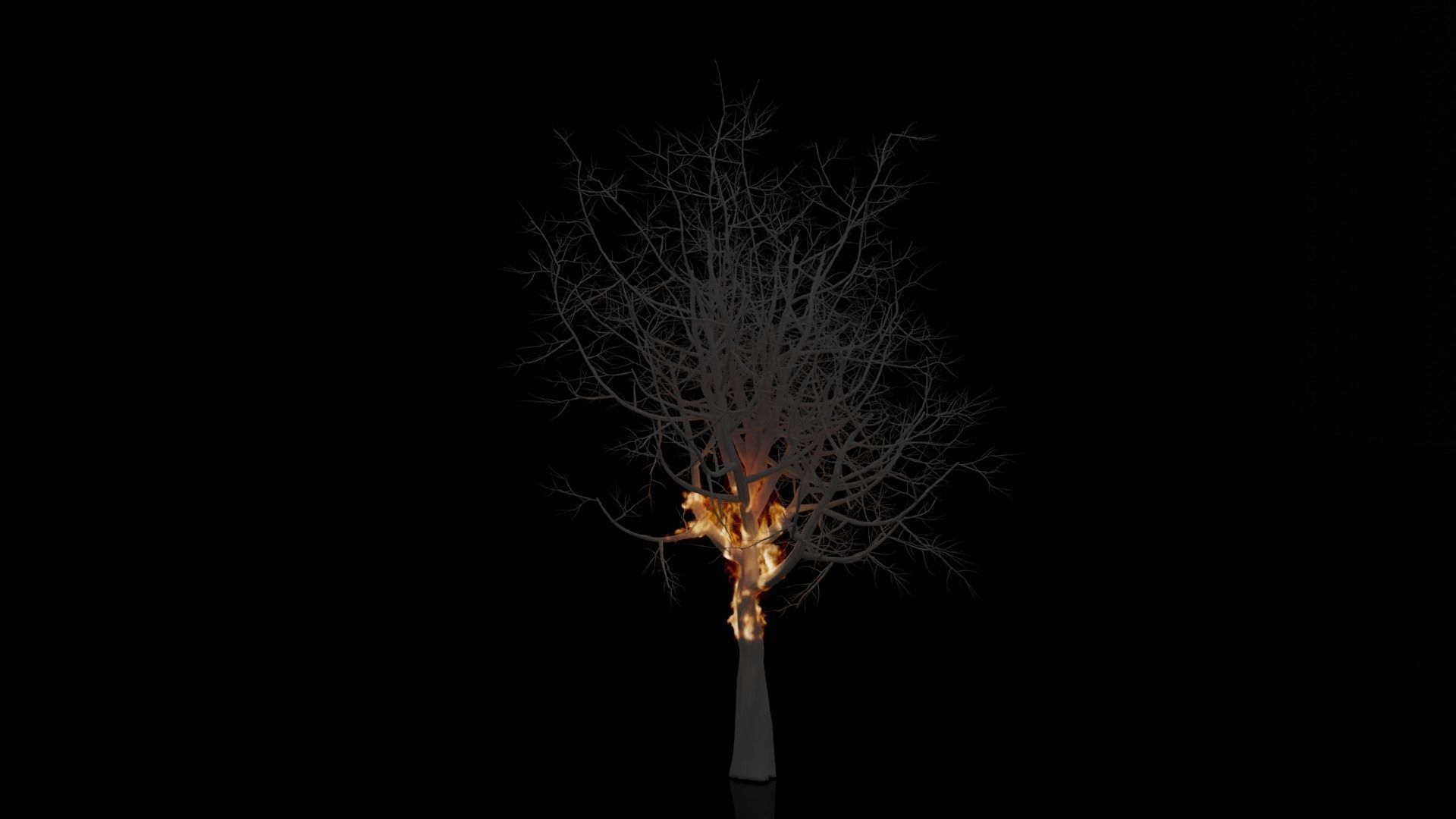 Tree burning fire animation 10 sec 300 frames 3D model animated | CGTrader