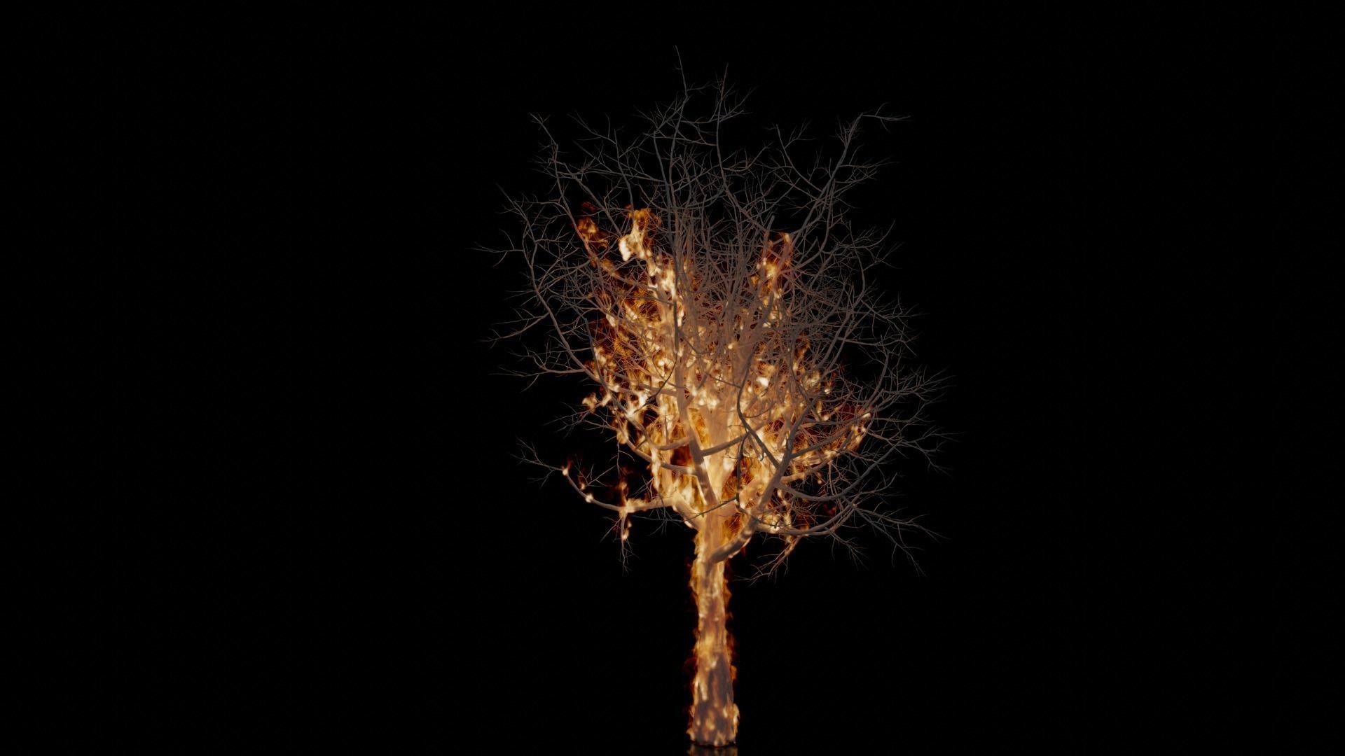 Tree burning fire animation 10 sec 300 frames 3D model animated | CGTrader