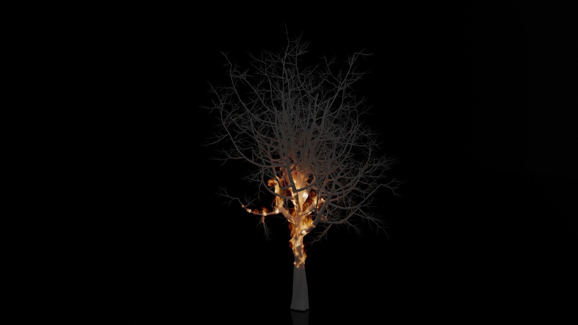 Tree burning fire animation 10 sec 300 frames 3D model animated | CGTrader