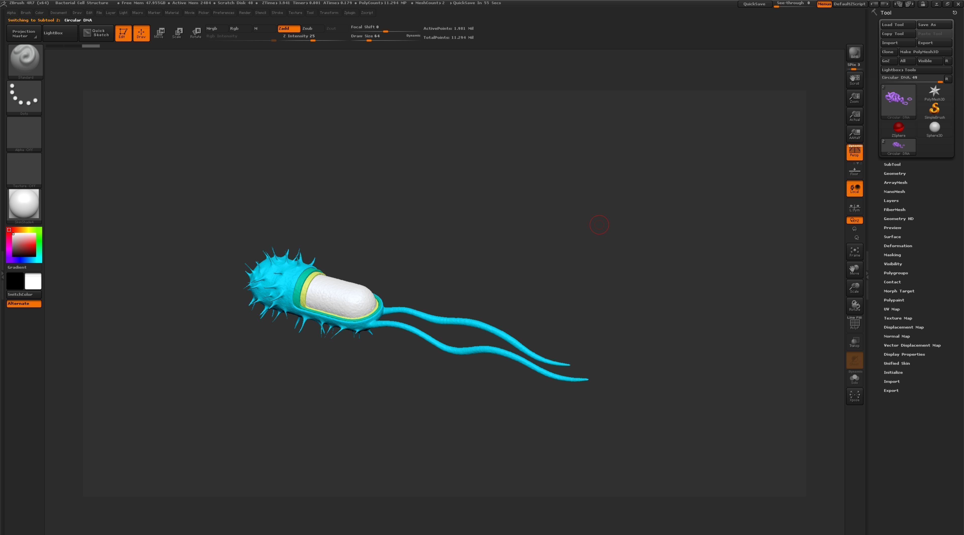 Bacterial Cell Structure 3D model | CGTrader