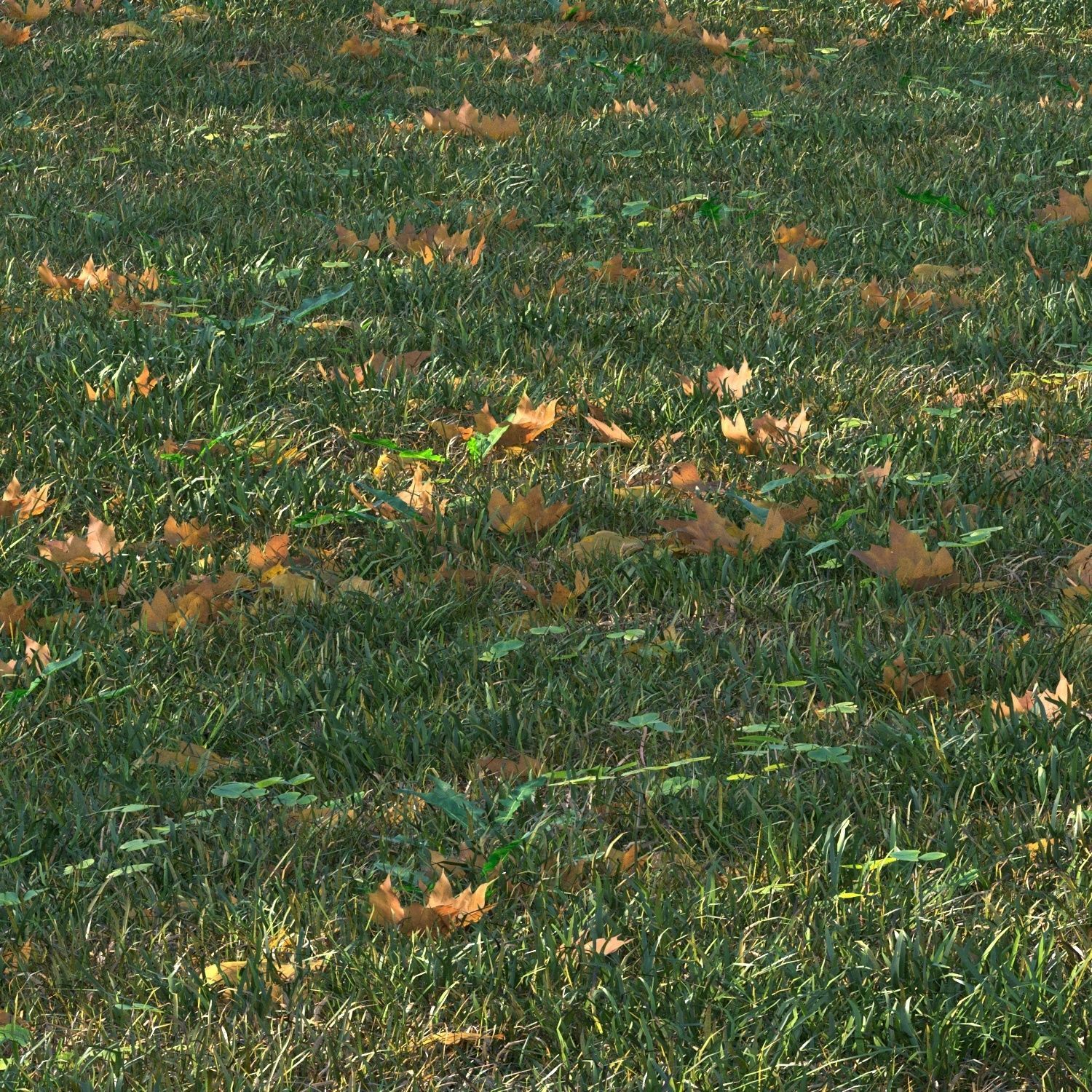 grass set05 with leaves 3D model | CGTrader