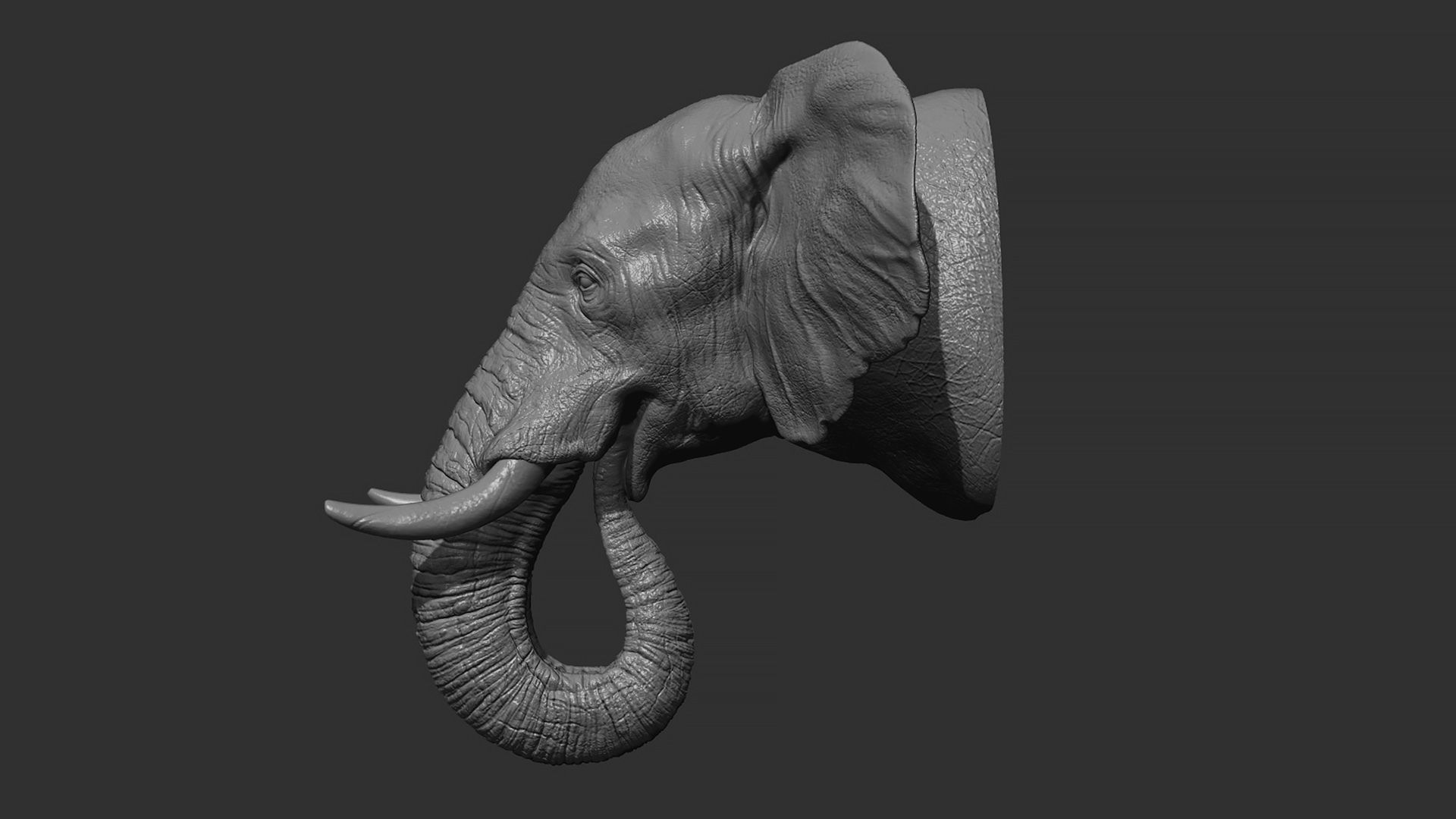 Elephant head 3D model 3D printable | CGTrader