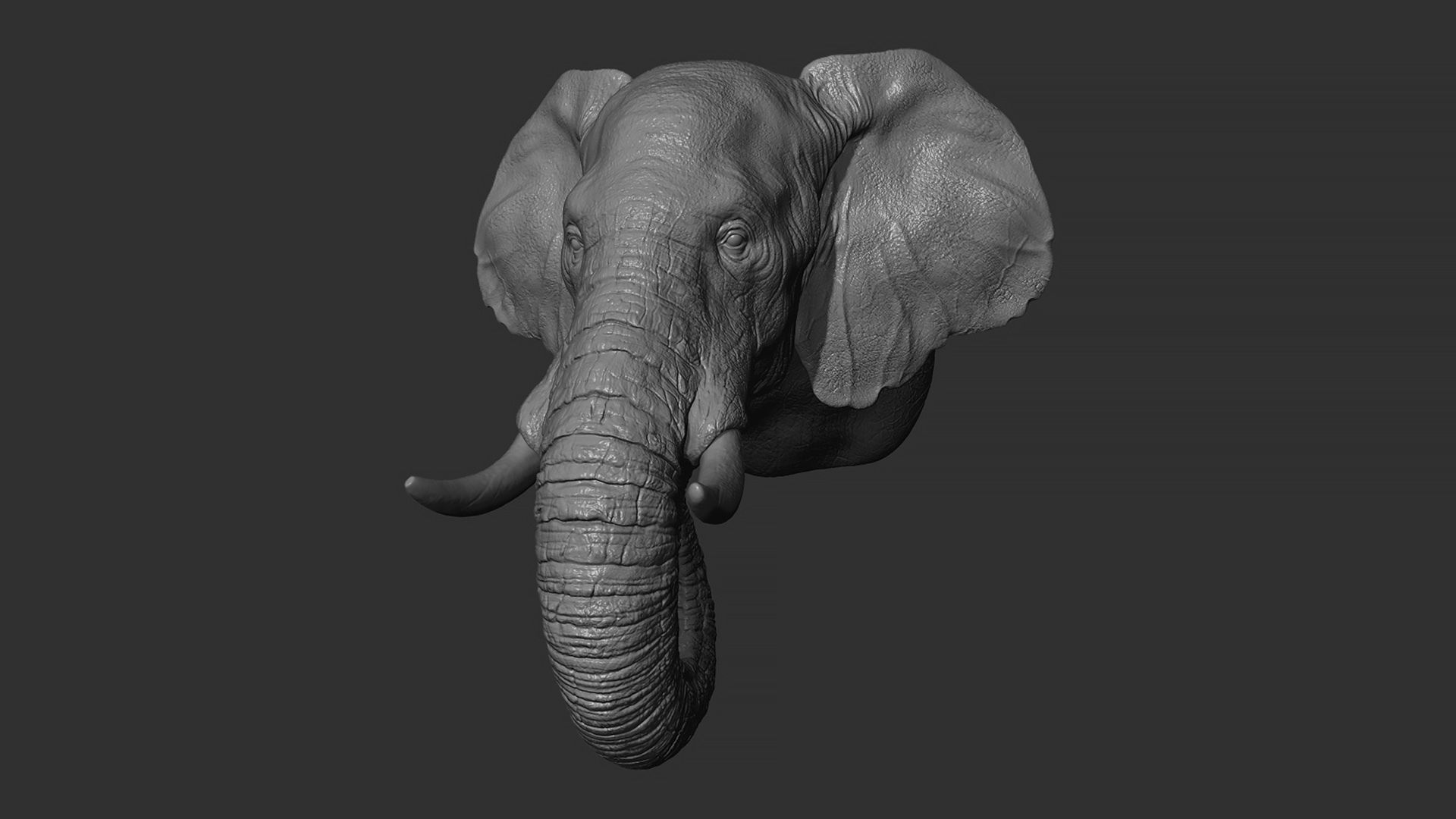 Elephant head 3D model 3D printable | CGTrader