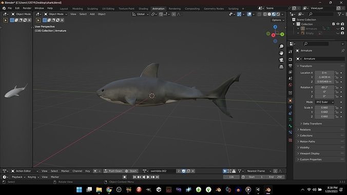 Great White Shark free VR / AR / low-poly 3D model animated rigged ...