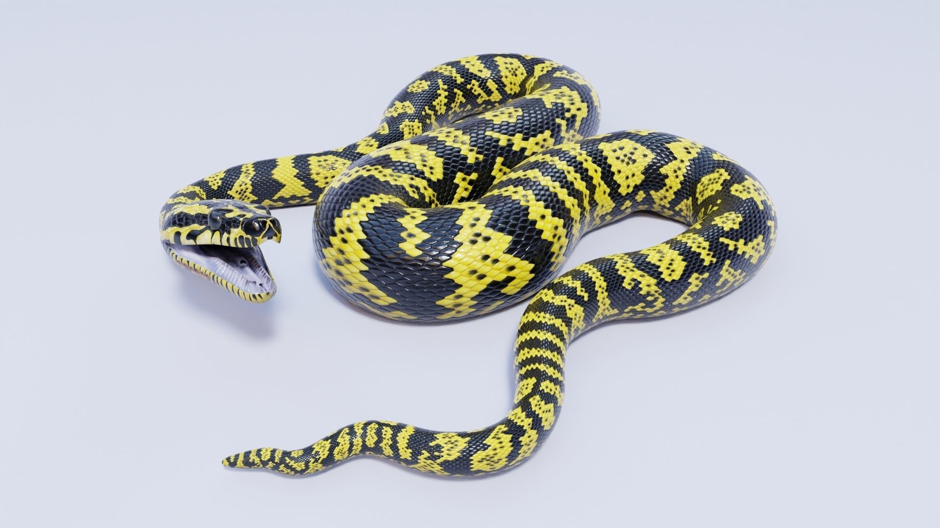 3D model Zebra Jungle Carpet Python - Static Poses VR / AR / low-poly ...