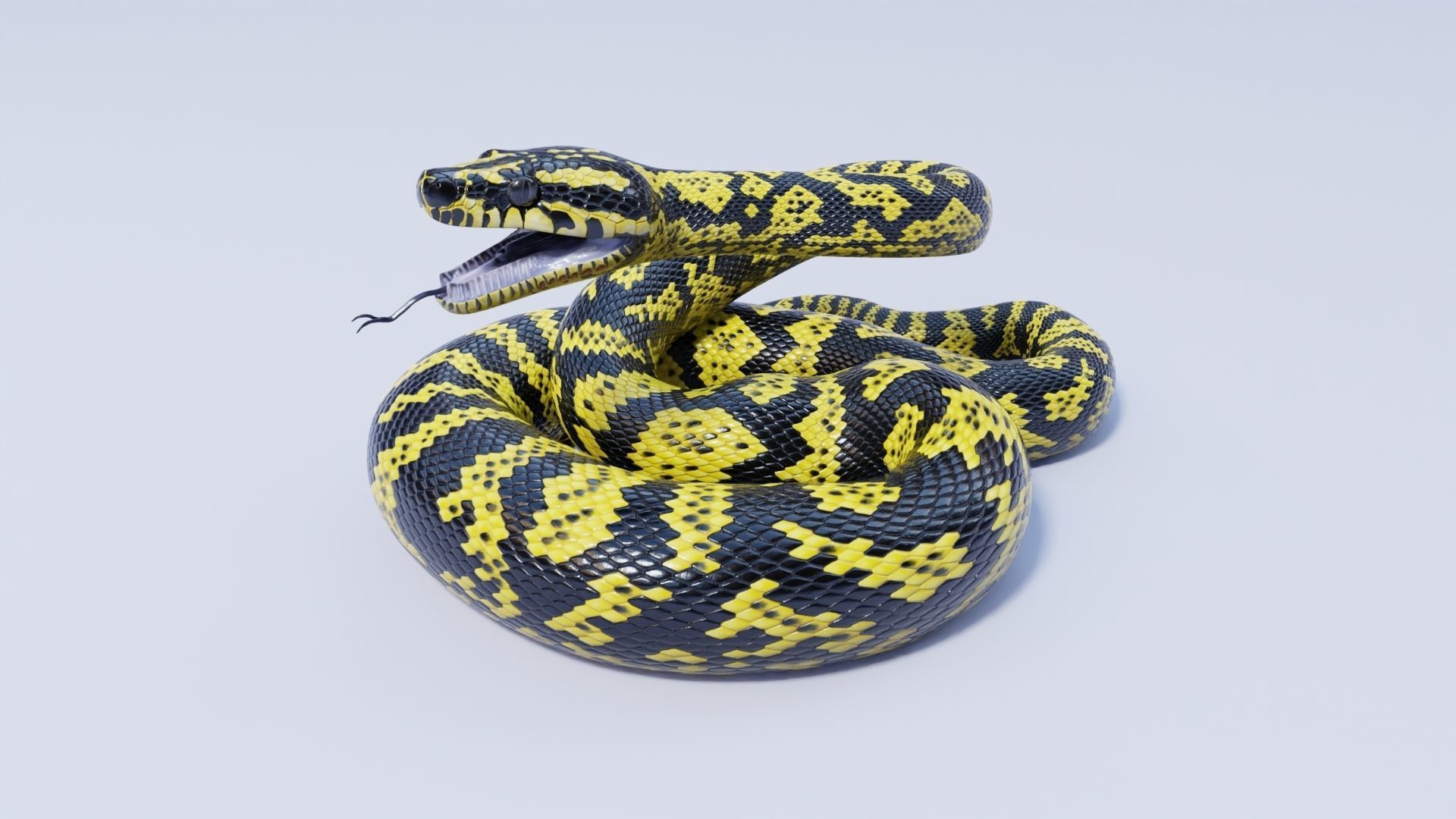 3D model Zebra Jungle Carpet Python - Static Poses VR / AR / low-poly ...
