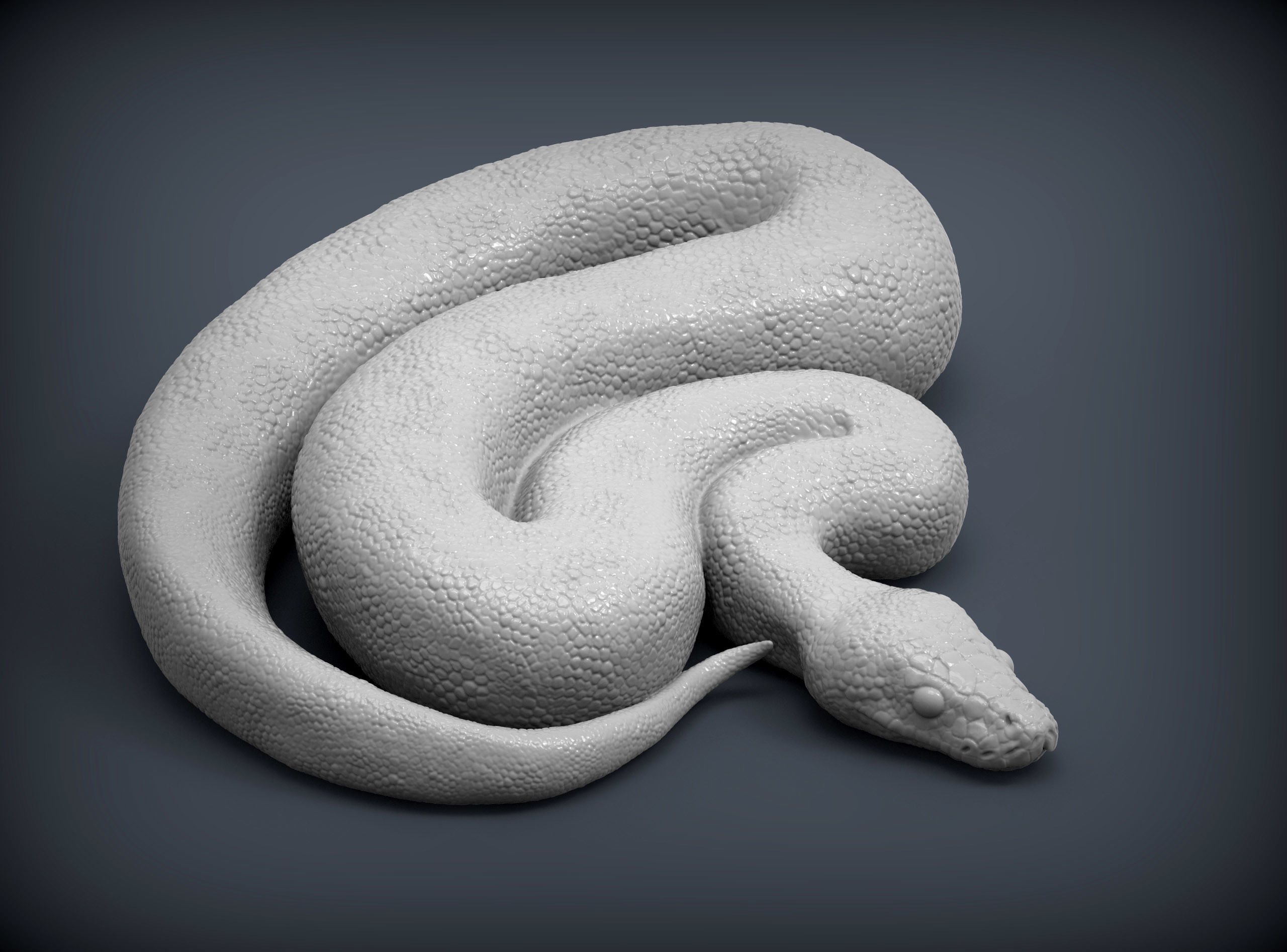 Ball Pythons 3D model 3D printable | CGTrader