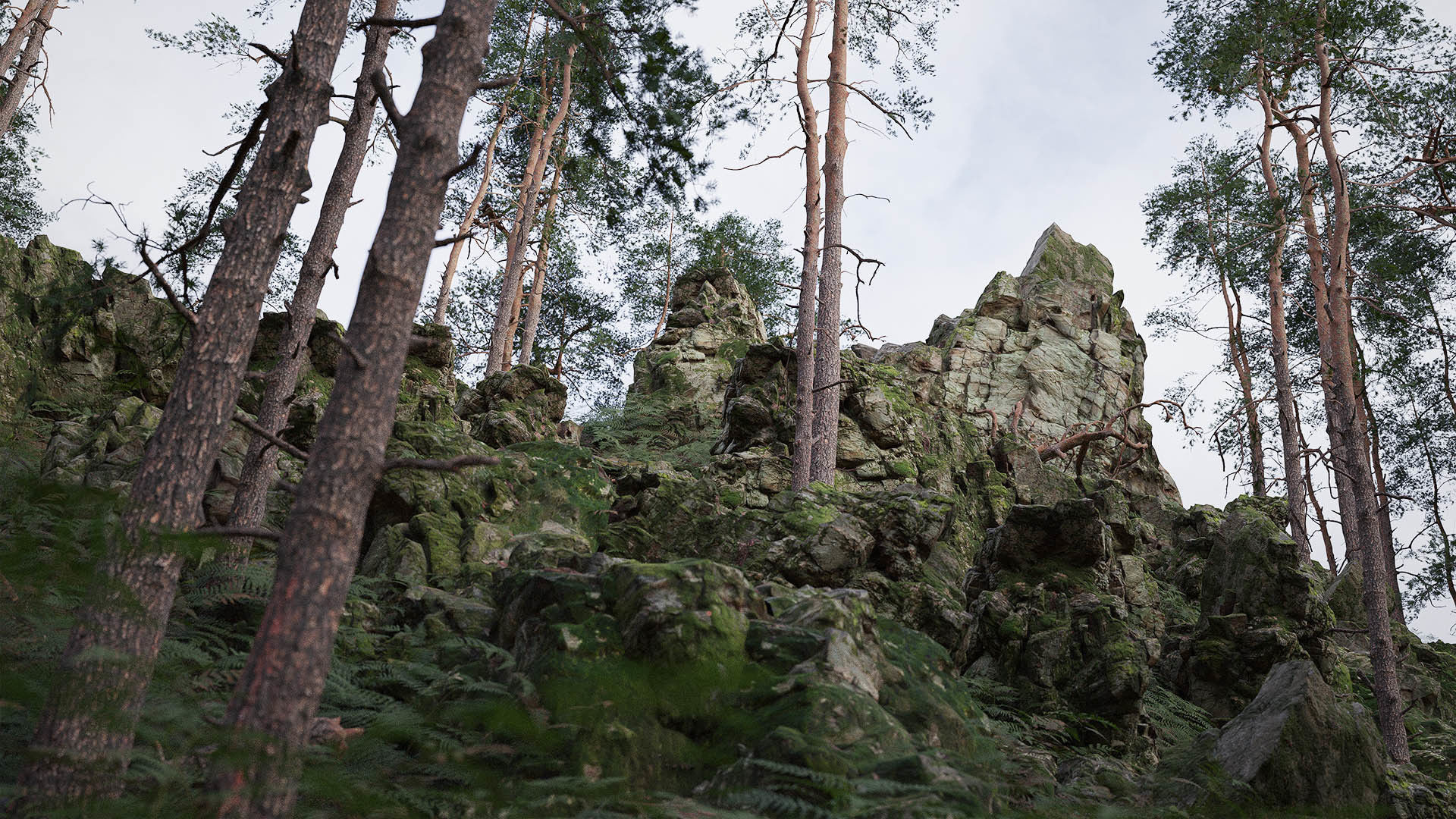 3D model Forest Cliffs Moss VR / AR / low-poly | CGTrader