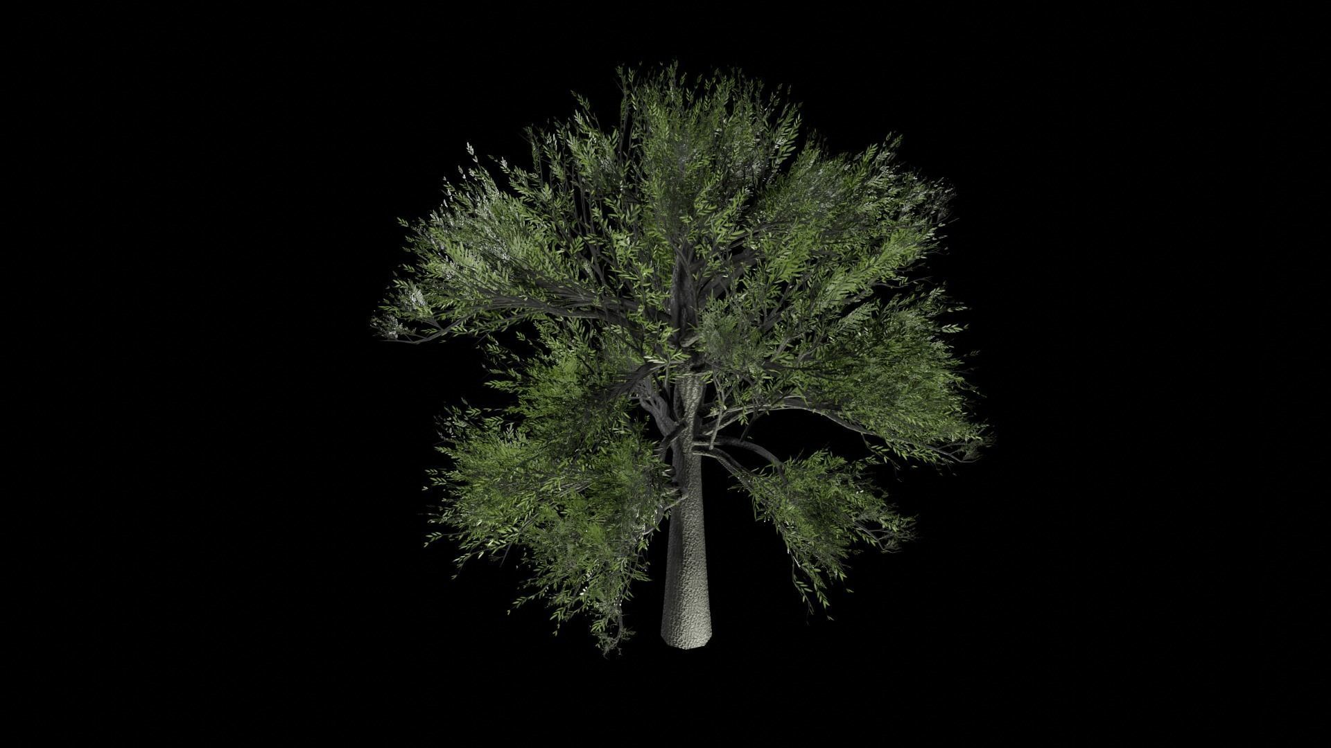 Procedural Tree 3D model | CGTrader