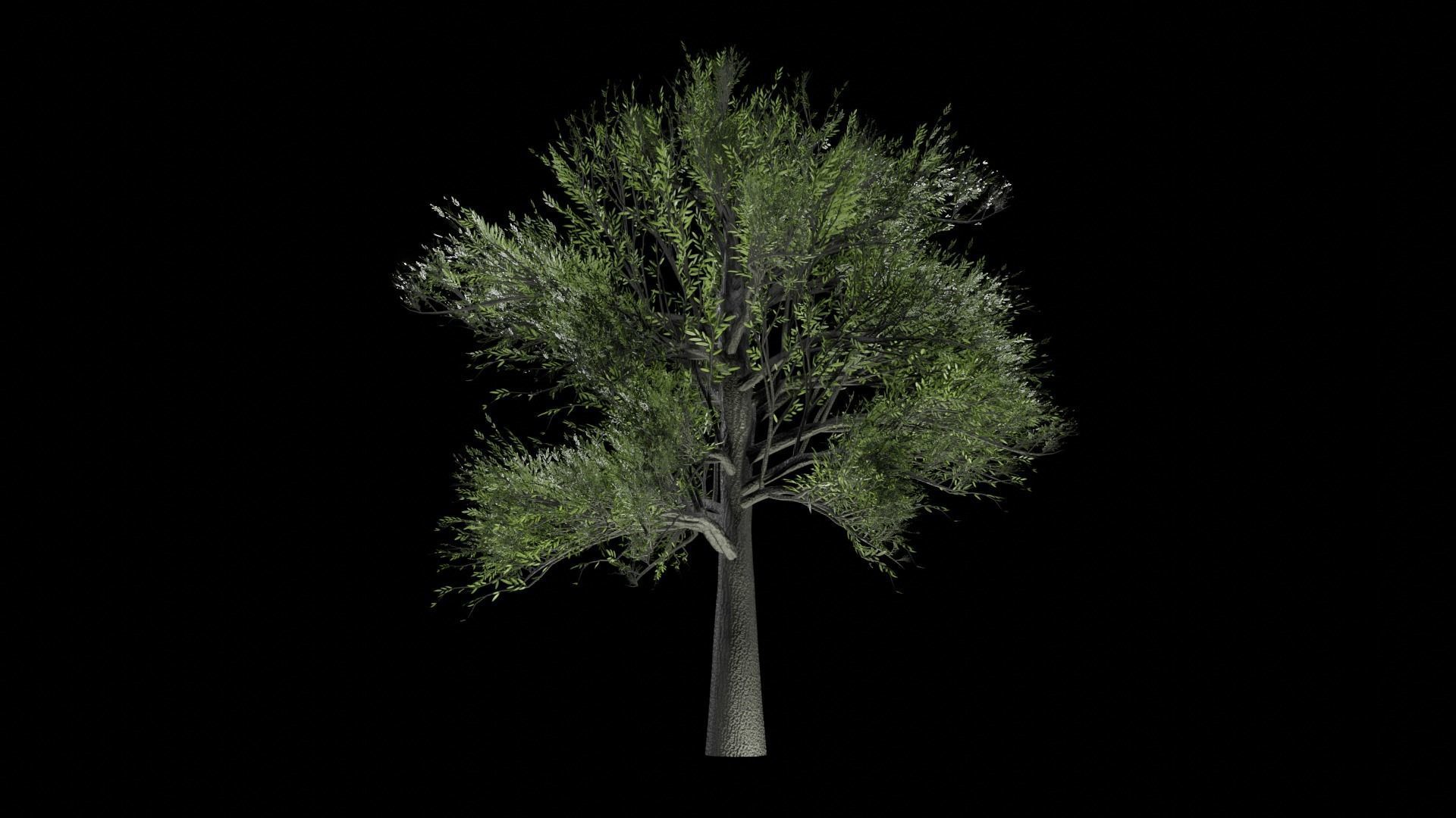 Procedural Tree 3D model | CGTrader
