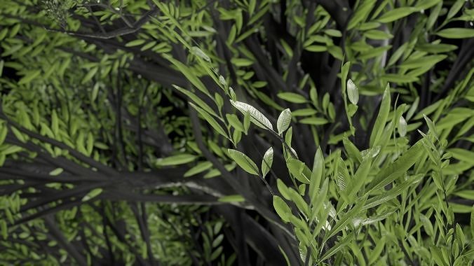 Procedural Tree 3D model | CGTrader