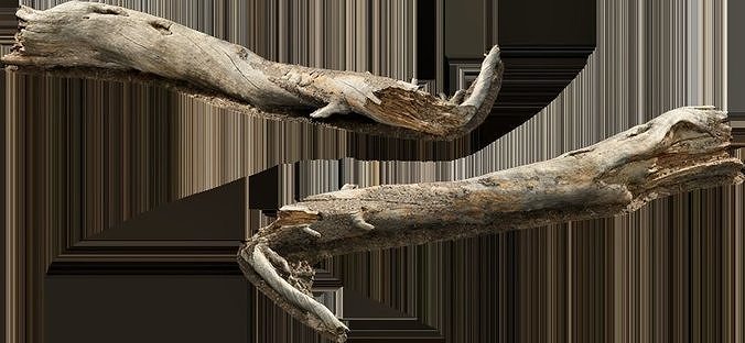 3D model TREE BRANCH VR / AR / low-poly | CGTrader