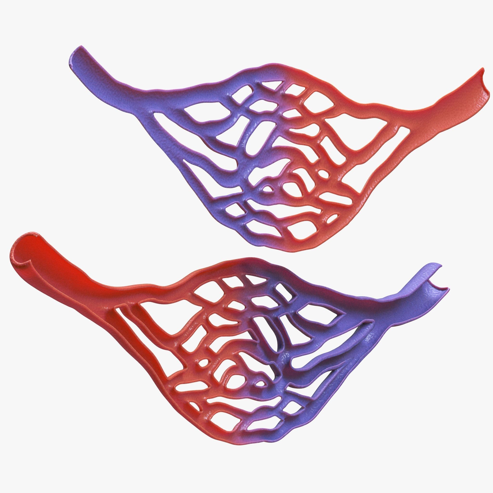 Blood Vessel Cross Section 3D model | CGTrader